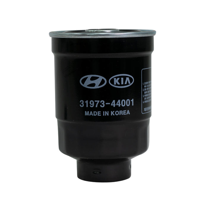 Filtro de Combustible H-100 (2006-2016)